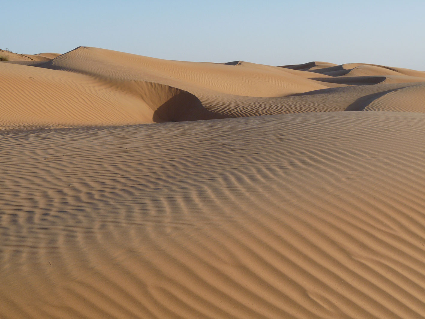 Namibia Dune Explorer Experience - Nature Travel Africa